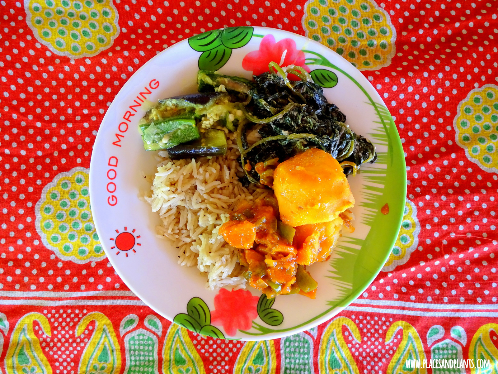 Wegański Zanzibar i lekcja gotowania z Sharą z Tangawizi Bistro ...